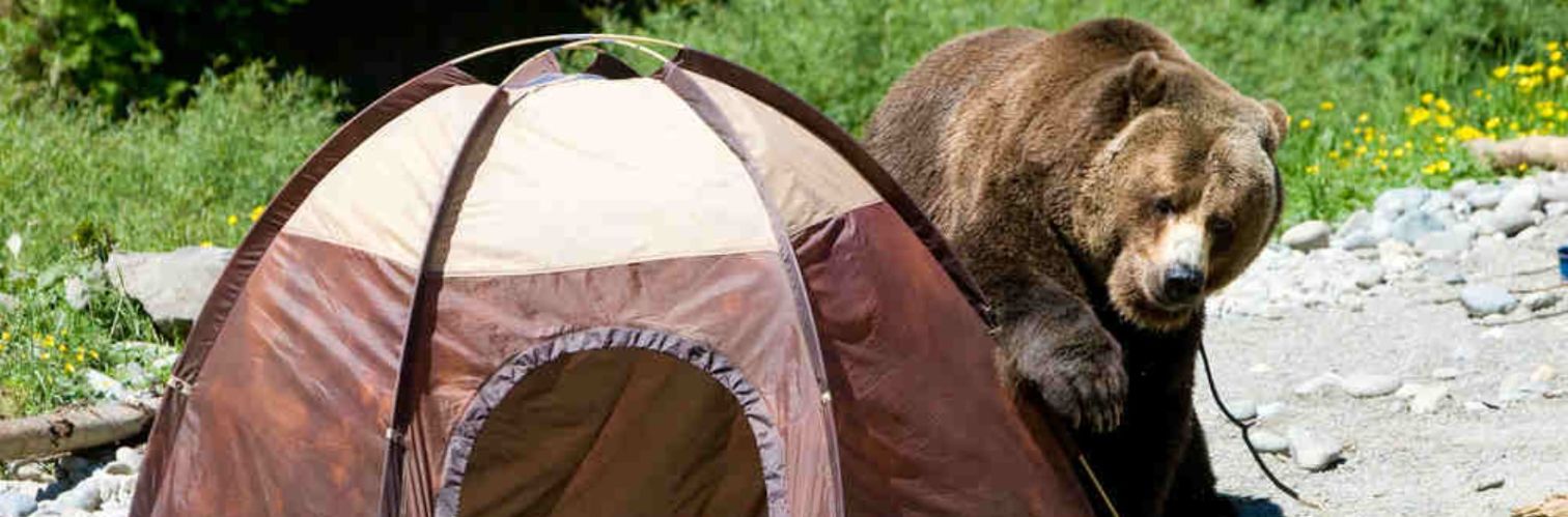 Keep & Bear, LLC: Emergency Preparedness 2 | Keep & Bear, LLC | 2/11/26