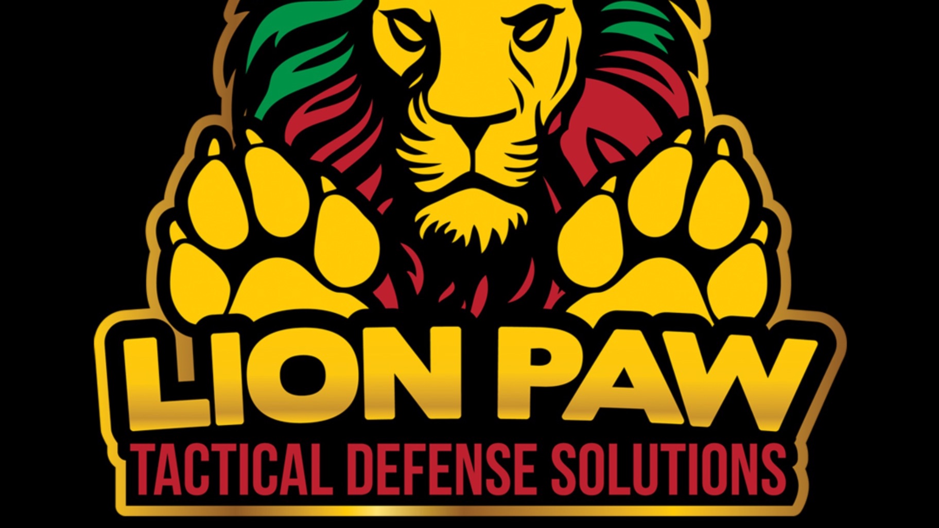 Connecticut pistol permit class | Lionpaw Tactical Defense Solutions