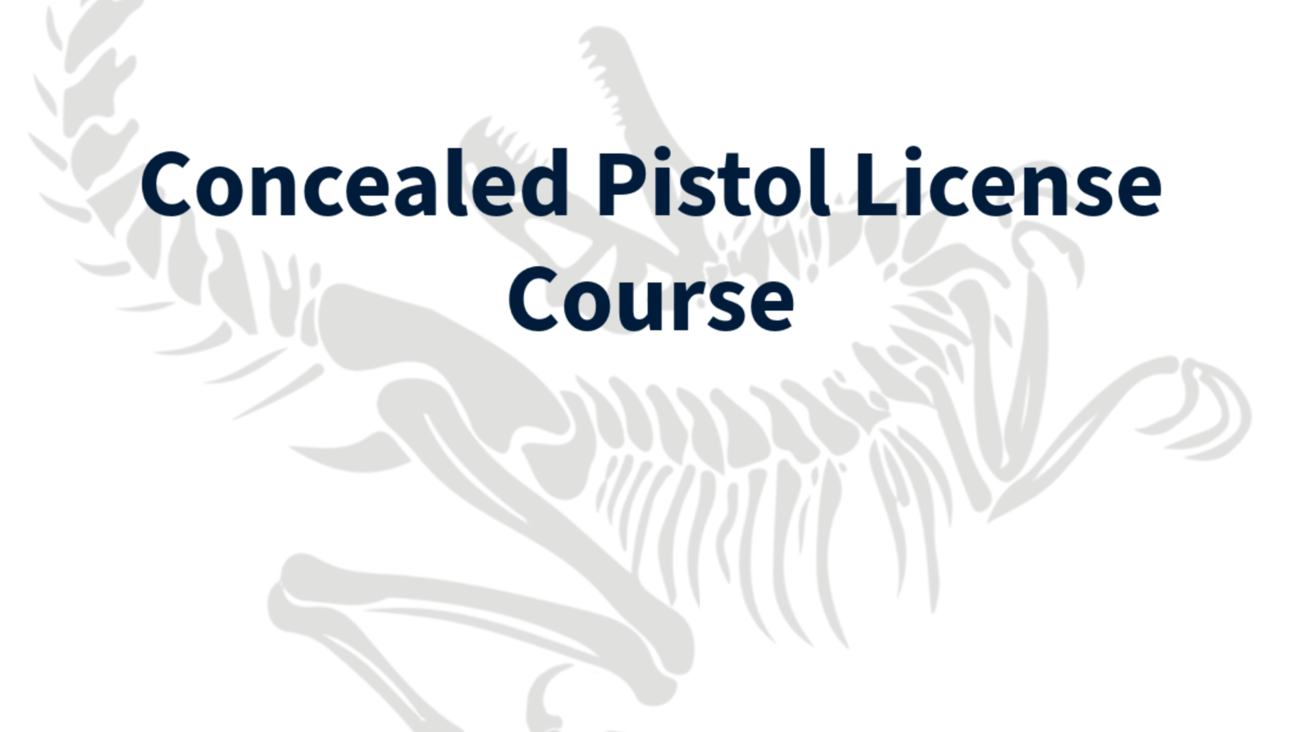 Concealed Pistol License Course (CPL) | Clever Girl Defensive Handgun ...
