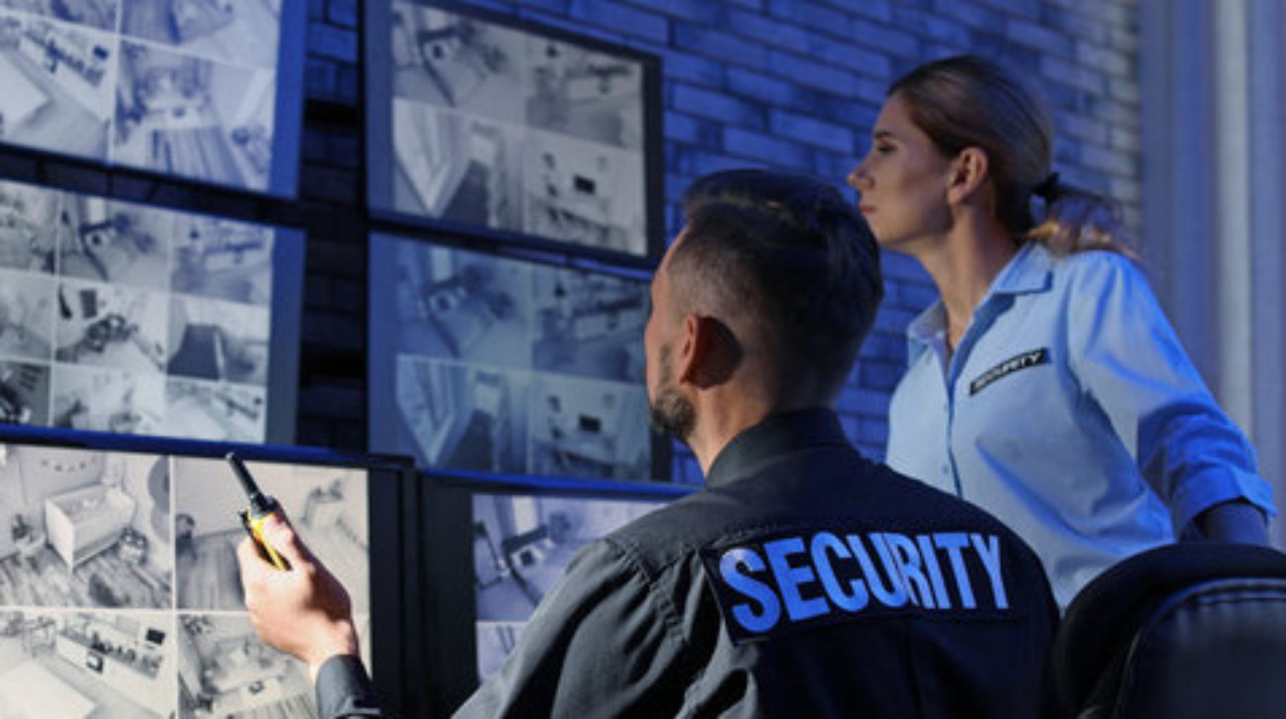 DPSST Private Security Unarmed Professional Course | Amuleus Group ...