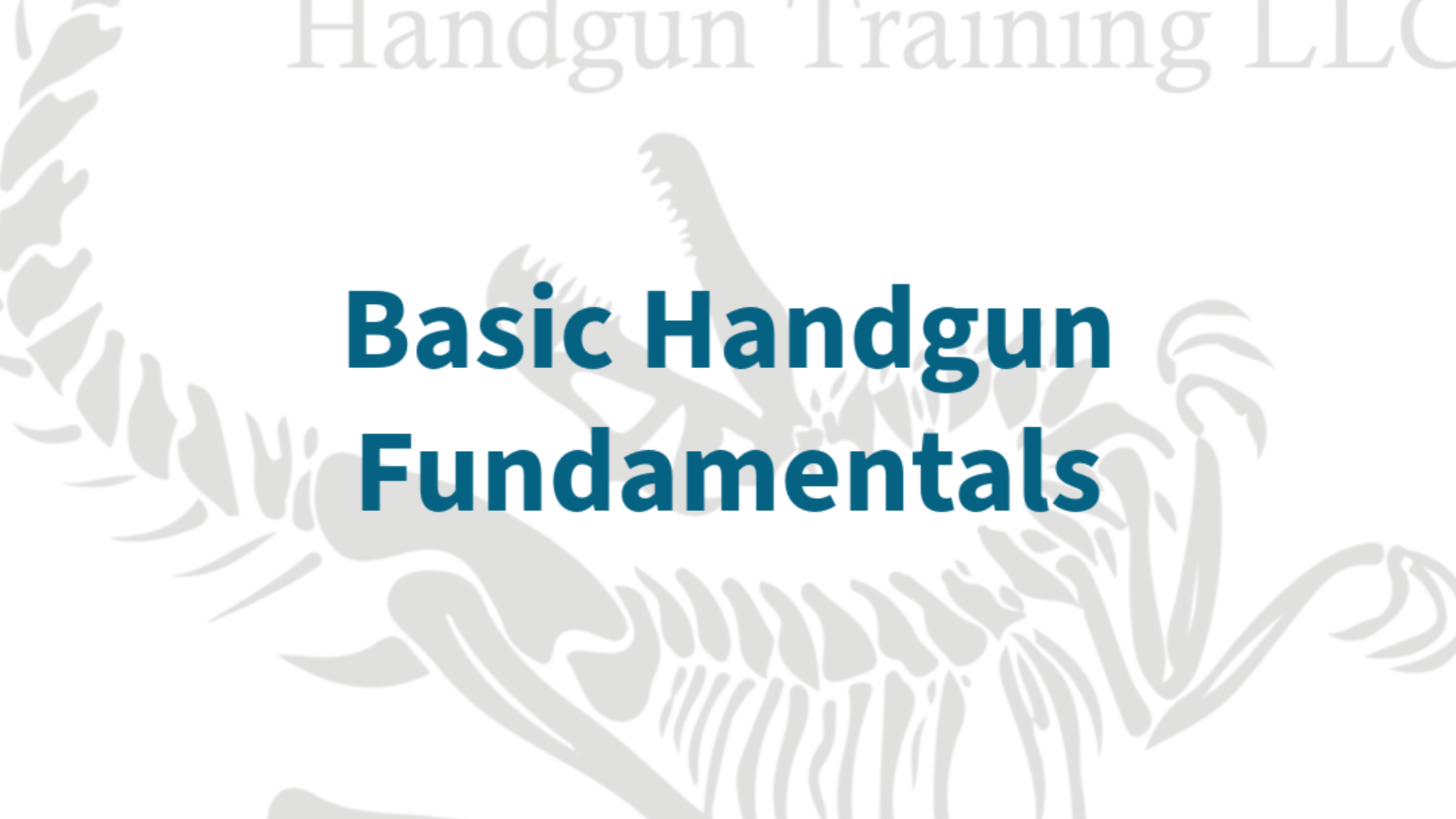 Basic Handgun Fundamentals | Clever Girl Defensive Handgun Training LLC