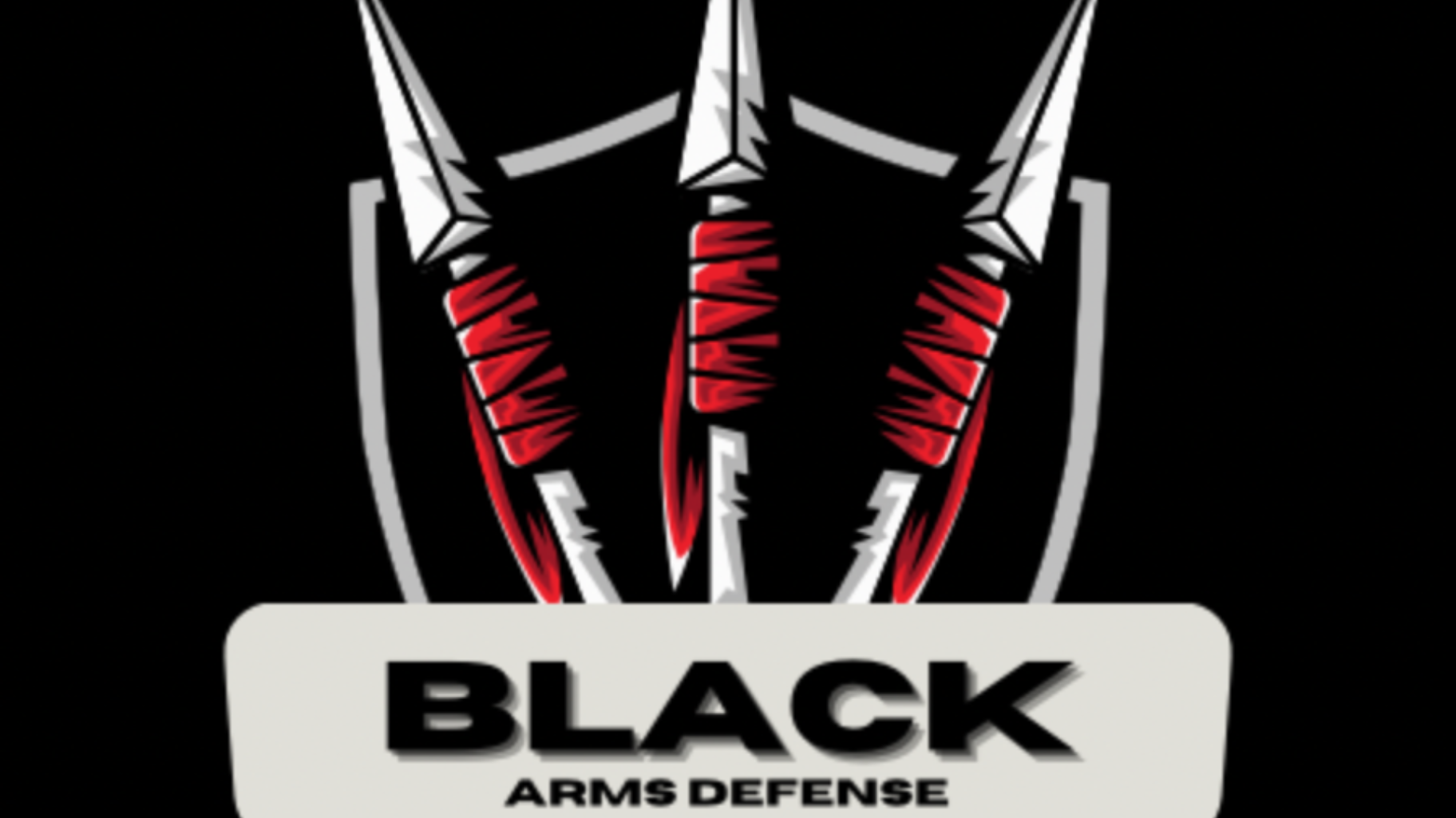 Multi-State Concealed Carry & Home Defense Fundamentals | Black Arms ...