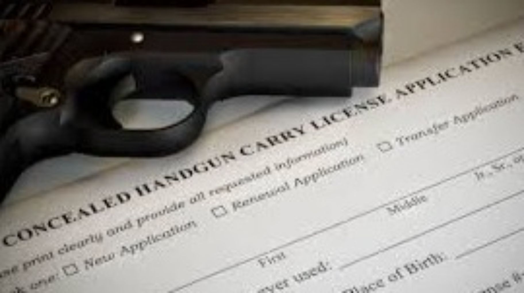 Michigan Concealed Carry License Renewal (Classroom Only) Rochester ...
