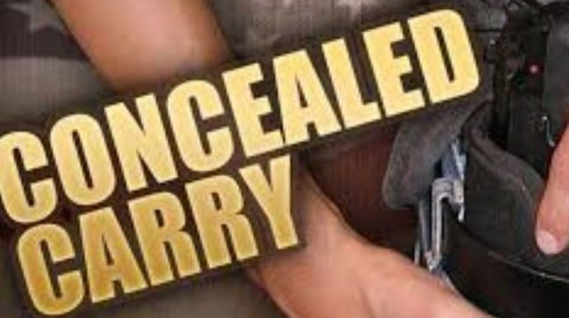 Michigan Concealed Carry Course - Michigan Pistol Academy (Royal Oak ...