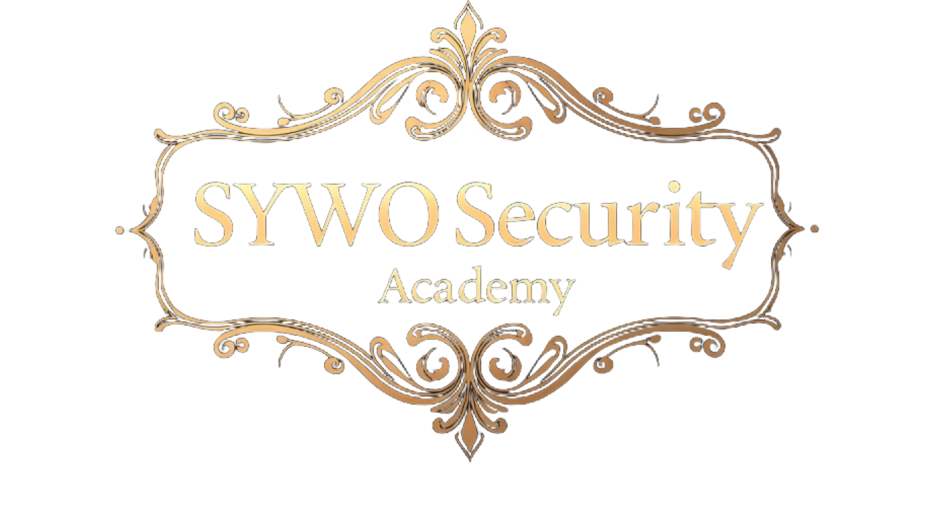 Concealed Carry - Introduction to Firearms | SYWO Security Academy, LLC | 11/19/25